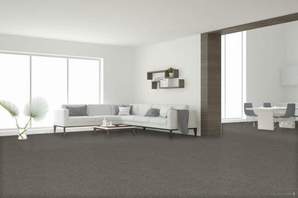 Unveiling Pentz Carpet: Elevate Your Space with Style and Durability