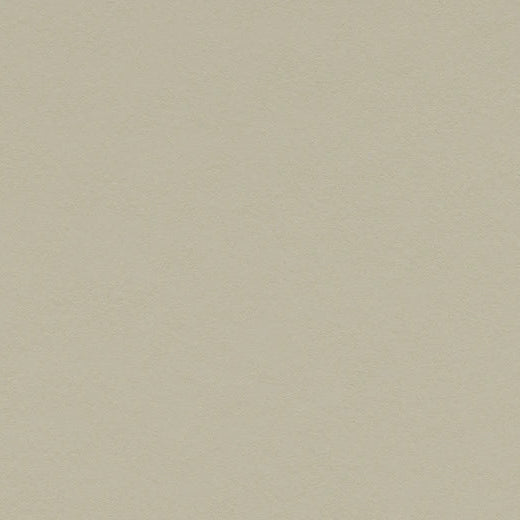 Forbo Marmoleum Walton 3378 Stucco Linoleum Sheet Flooring