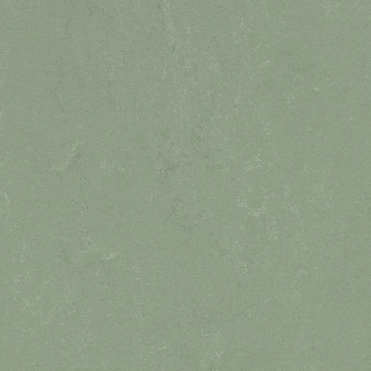 Forbo Marmoleum Solid Concrete 3750 Pine Forest Linoleum Flooring