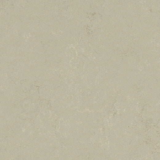 Forbo Solid Concrete Shale 79" Linoleum Sheet