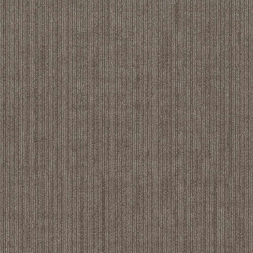 Shaw Native 54963-00100 Prime 24" X 24" Carpet Tile (Sample)