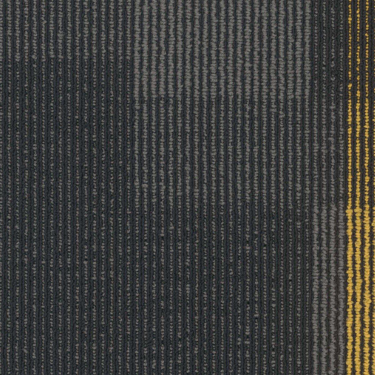 Pentz Carpet Magnify Plank 7054P-3143 Medallion 12" x 48" (55.98 SF/Bo