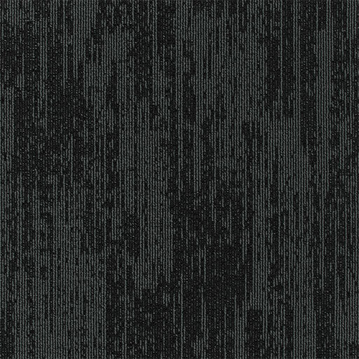 Pentz Carpet Podcast 7553T-3538 Hosting 24" x 24" (72 SF/Box)