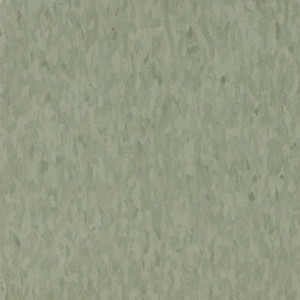 Armstrong Bio-Flooring BBT (Bio-Based Tile) | | Floor City