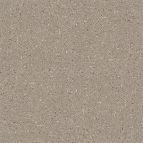 Armstrong Earthstone Greige Slip Resistant VCT 51804SZ Safety Zone Til