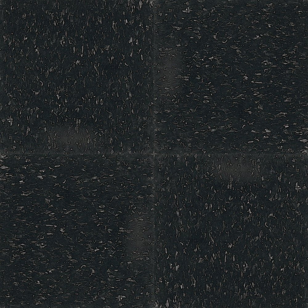 Armstrong Classic Black Slip Resistant VCT 51910SZ Safety Zone Tile (P
