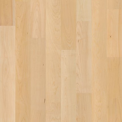 Shaw Natural Classics SW781-01148 Hard Maple 5" x 13.8" - 47.24" Rando
