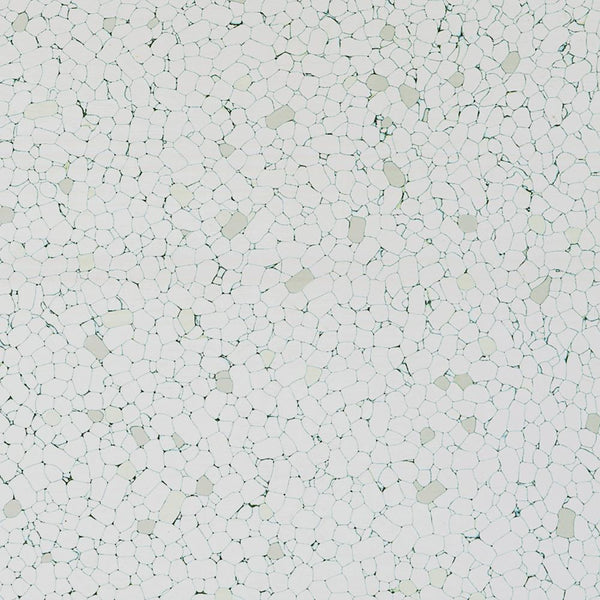 Roppe 702 Electron 12X12 (Sample)