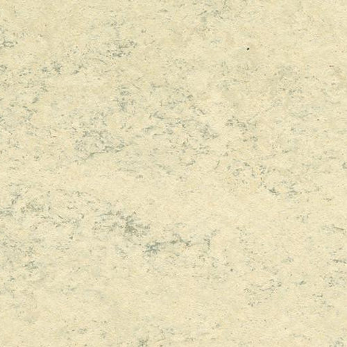 Forbo White Birch 3050 MCT (Marmoleum Composition Tile) 13.11" x 13.11"