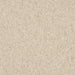Armstrong Premium Excelon Crown Texture 5C858 Sandrift White 12" x 12"