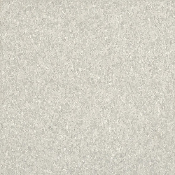 Armstrong Premium Excelon Crown Texture 5C861 Soft Warm Gray 12" x 12"